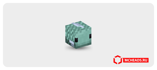Fish — 17897 — Minecraft head