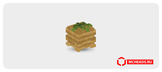Mandrake — 65872 — Minecraft head