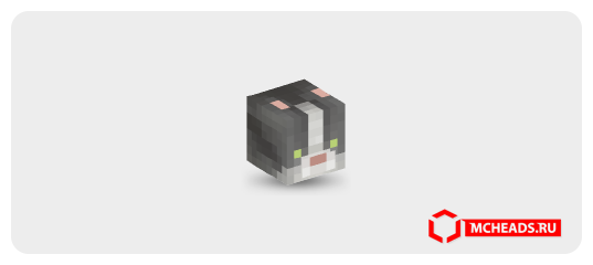 Jellie Cat — Minecraft head