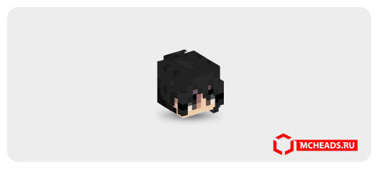 Sage — Minecraft head