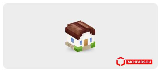 Toy House — 4449 — Minecraft head