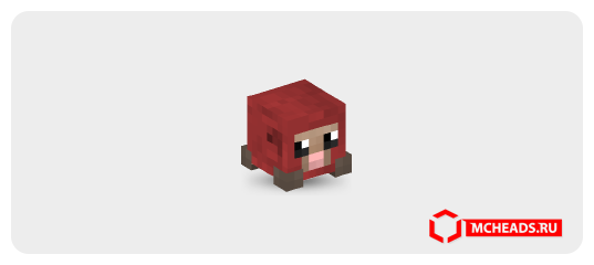 Baby Sheep (red) — 7713 — Minecraft head
