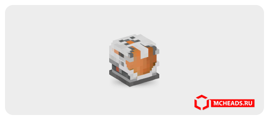 Astronaut Helmet — 2576 — Minecraft head