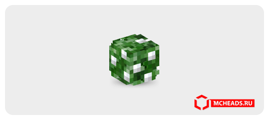 Bush — 2211 — Minecraft head
