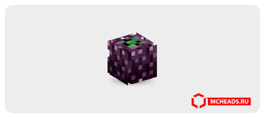Blackberry (leaf) — Minecraft head