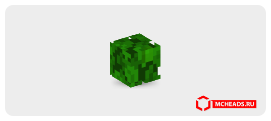 Jungle Leaves — Minecraft head