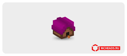 Bird House (purple) — 11591 — Minecraft head