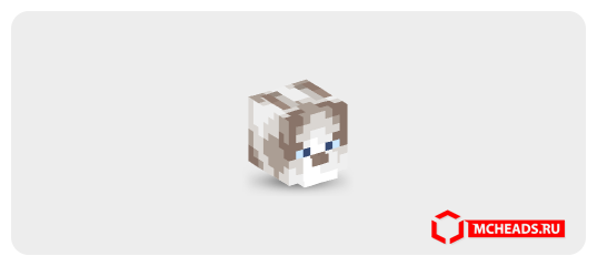 Cat (ragdoll) — Minecraft head