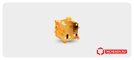 Golden Axolotl — Minecraft head