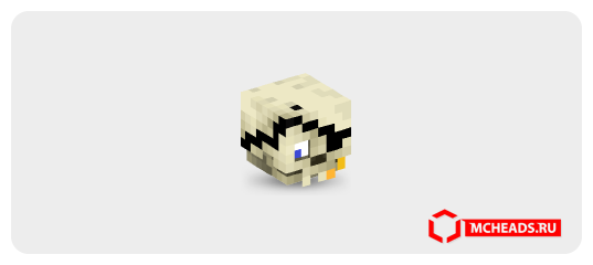 Skeletal Pirate — Minecraft head