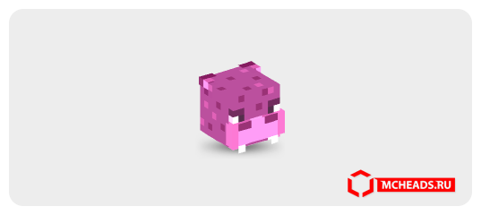 Hippo — 62204 — Minecraft head