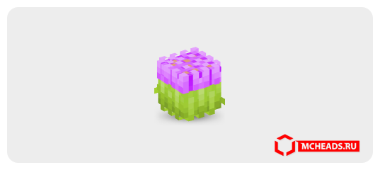 Tulips (magenta) — Minecraft head