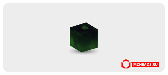 Avocado — 19677 — Minecraft head