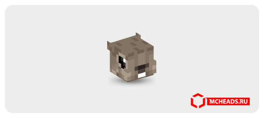 Squirrel — 1704 — Minecraft head