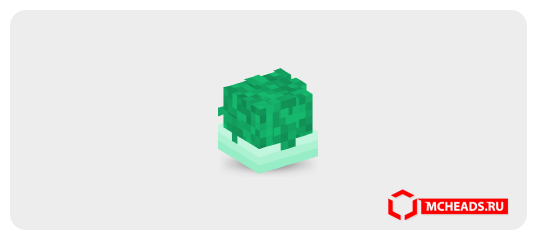 Mint — 53271 — Minecraft head