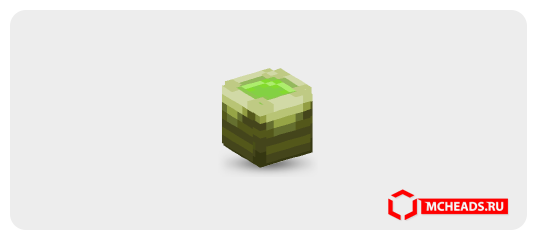 Cup of Green Tea — Minecraft head