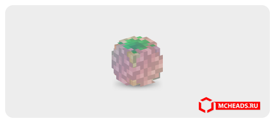 Berry — 18151 — Minecraft head