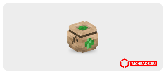 Lettuce Bag — Minecraft head
