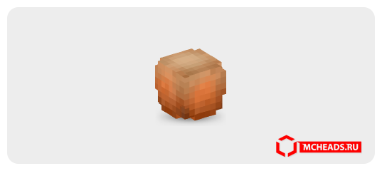 Hazelnut — Minecraft head