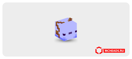 Axolotl — 81341 — Minecraft head