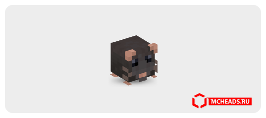 Rat — 66717 — Minecraft head