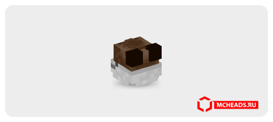 Tadpole Bucket — Minecraft head