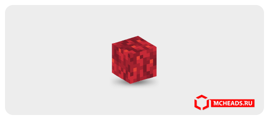 Fire Coral — Minecraft head