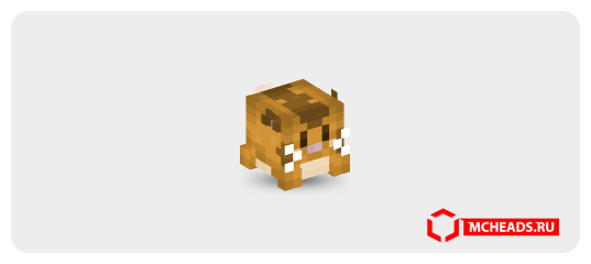 Ginger Cat — Minecraft head
