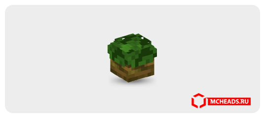 Jungle Sapling — Minecraft head
