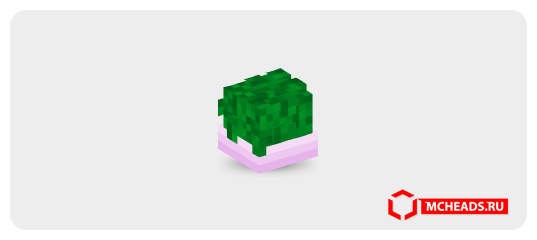 Mint — Minecraft head