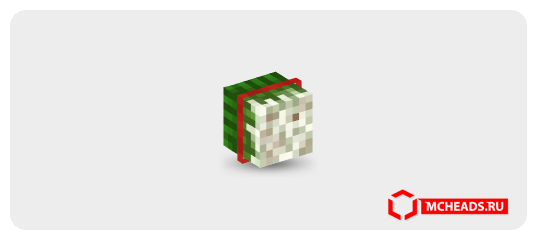 Spring Onion Bundle — Minecraft head
