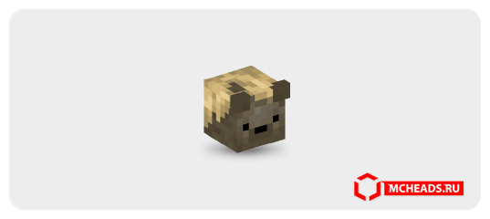 Polar Bear (Husk) — Minecraft head