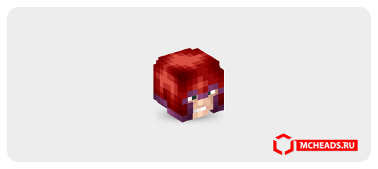 Magneto — 3797 — Minecraft head