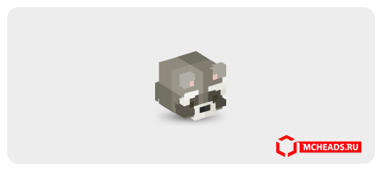 Raccoon — 42777 — Minecraft head