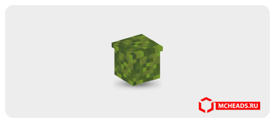 Moss Carpet on Moss — Minecraft head