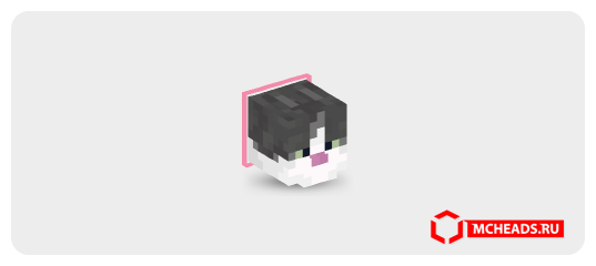 Collared Jellie Cat (pink) — Minecraft head