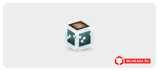 Potion (blue) — 2417 — Minecraft head