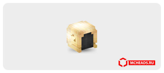 Shell — 13904 — Minecraft head