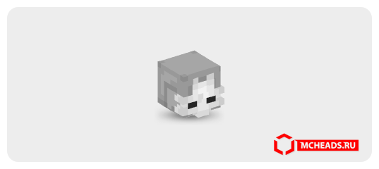 Gray Knight — Minecraft head