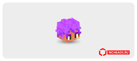 Shelly — Minecraft head