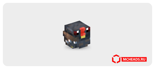Common Moorhen Bird — Minecraft head