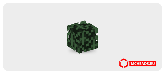 Spruce Leaves — Minecraft head