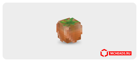 Hazelnut — 406 — Minecraft head