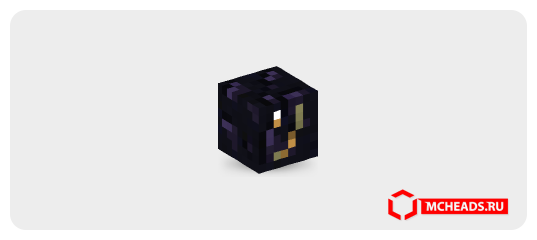 Standard Galactic N — Minecraft head