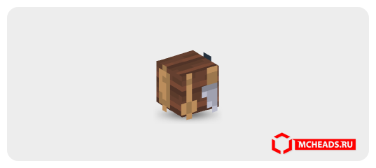 Kitchen Tool Rack — Minecraft head