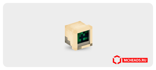 Monitor — 1628 — Minecraft head