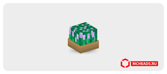 Plant Lavender — Minecraft head