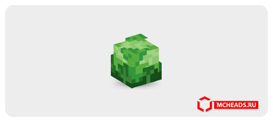 Cabbage — Minecraft head