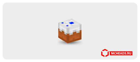 Blueberry Cake — Minecraft head