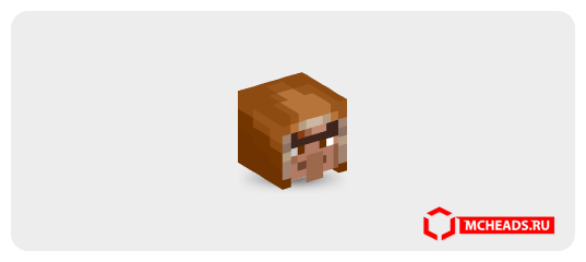 Inuit Villager — Minecraft head